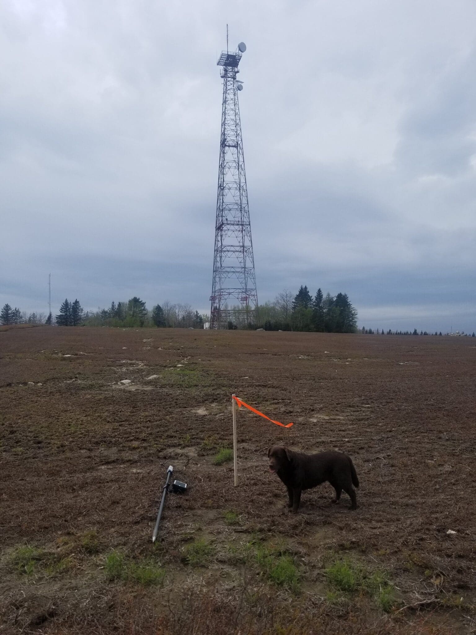 MPBN Franklin layout | Herrick & Salsbury