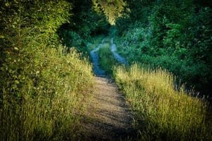 Understand Right of Way vs Easement on Your Property